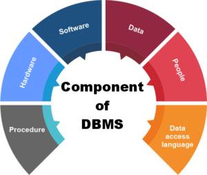 Essential Components of Database | Building Blocks In DBMS