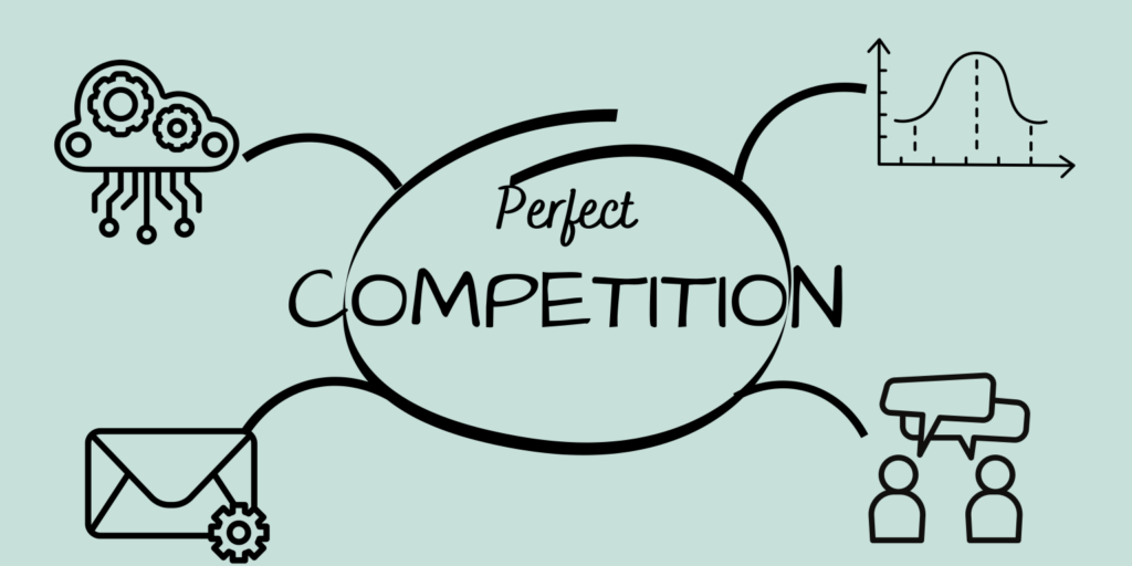 Perfect Competition: Examples and How It Works [2025]